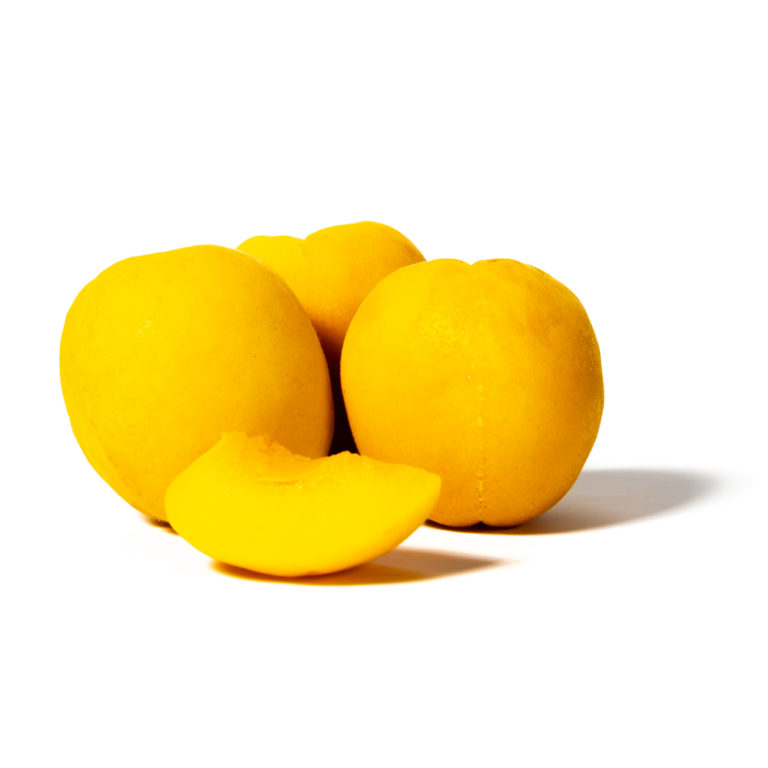 Patio Apricot Trees UK | Pot Growing & Care – Fruit Expert