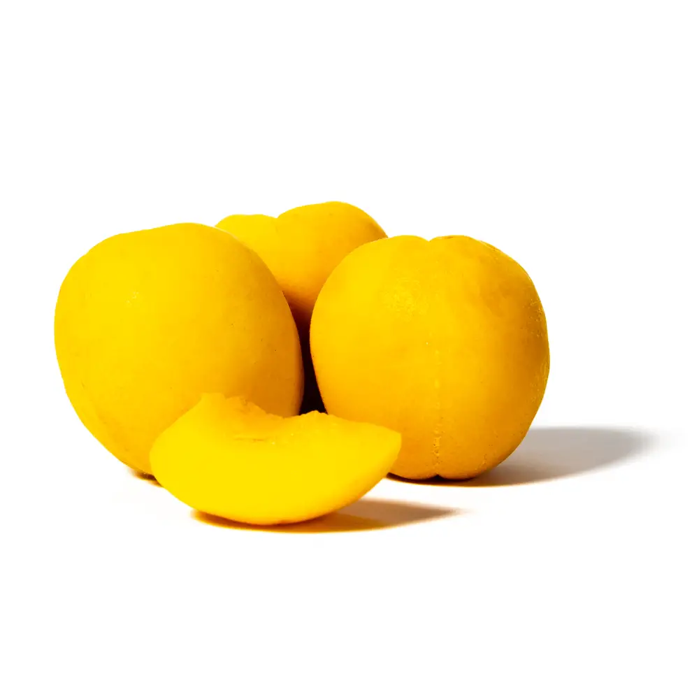 Patio Apricot Trees UK | Pot Growing & Care – Fruit Expert